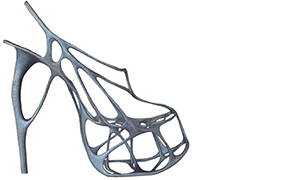 The Object: 3D-printed shoe